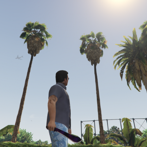 Green and Standard Space Machete 1.0 – GTA 5 mod
