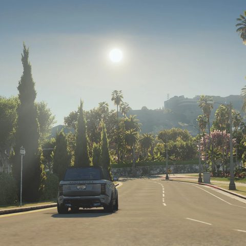 L.A Trees [YMAP/Addon] 1.6 – GTA 5 mod