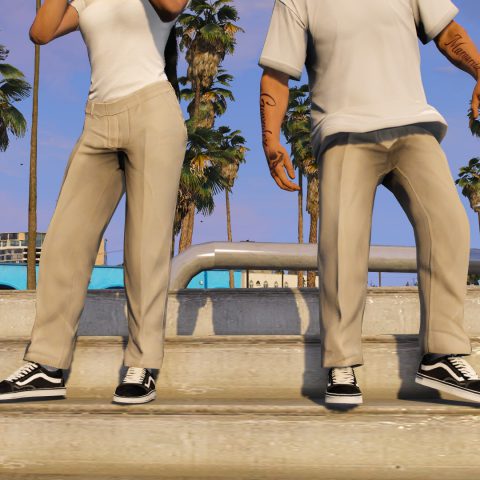 Chino Pants for MP Male – GTA 5 mod