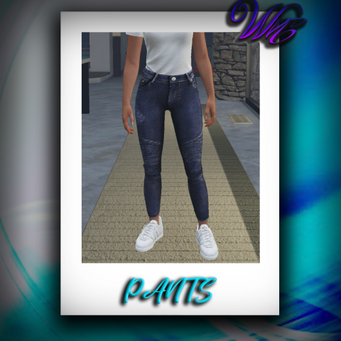 Biker Shorts for MP Female [ FiveM / SP ] 1.0 – GTA 5 mod