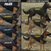 German Shepherd / Malinois - K9 Dog 1.0.1 – GTA 5 mod