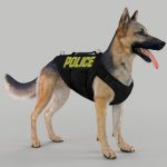 German Shepherd / Malinois - K9 Dog 1.0.1 – GTA 5 mod