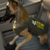 German Shepherd Police Skins V1.3 – GTA 5 mod