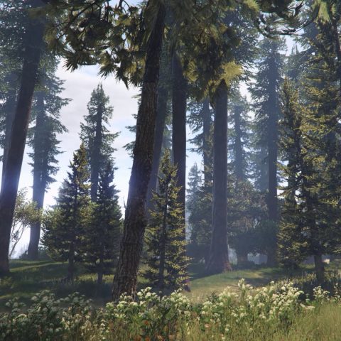 Forests of San Andreas: Revised [Add-On | YMAP | YMT | CARGEN | LODs ...