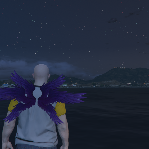 WINGS MALE/FEMALE [Replace / FiveM / Rage MP] – GTA 5 mod