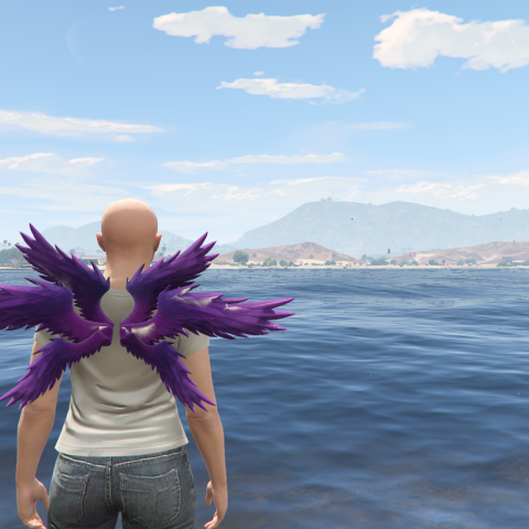 WINGS MALE/FEMALE [Replace / FiveM / Rage MP] – GTA 5 mod