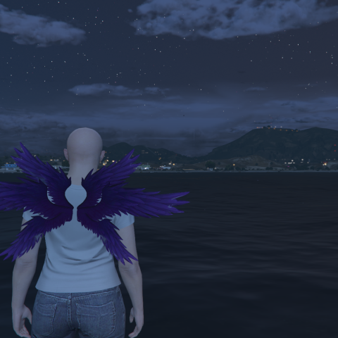 WINGS MALE/FEMALE [Replace / FiveM / Rage MP] – GTA 5 mod
