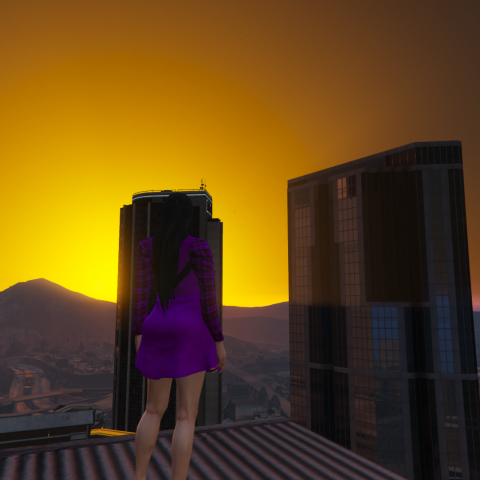 Top for MP Female 1.0 – GTA 5 mod