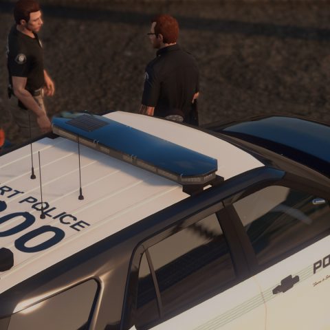 LSPP - Los Santos Port Police Pack 1.0 – GTA 5 mod