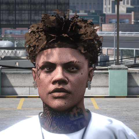 Curly Mohawk For MP Male 1.0 – GTA 5 mod