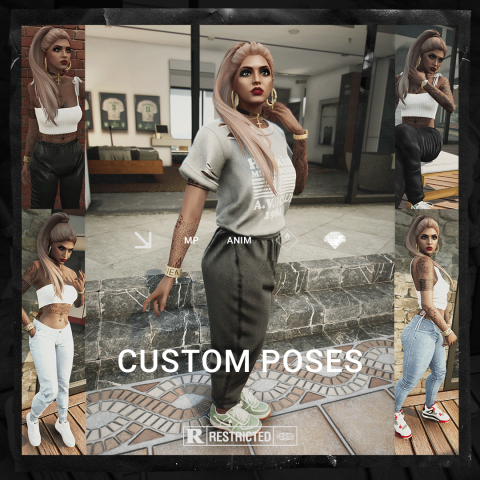 Custom Pose Pack 2 1.0 – GTA 5 mod
