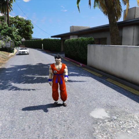 Yamcha - Base Form (Dragon Ball Z) [Add-On] Final – GTA 5 mod