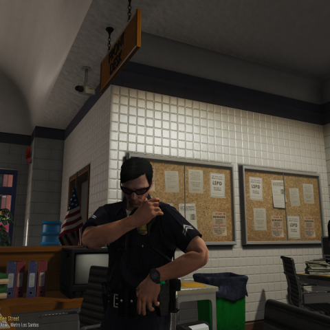 LSPDFR True Dispatch-All SA street names (improvement that works for ...