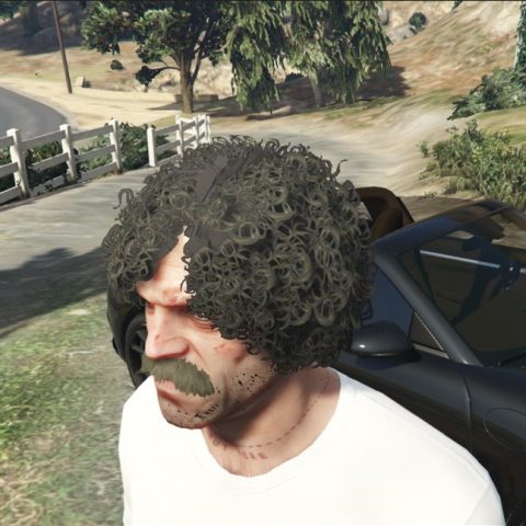 Wavy & Curly Hairstyles For Trevor (SP/FiveM) V1.0 – GTA 5 mod