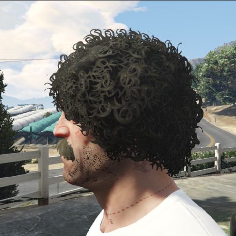 Wavy & Curly Hairstyles For Trevor (SP/FiveM) V1.0 – GTA 5 mod