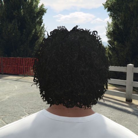 Wavy & Curly Hairstyles For Trevor (SP/FiveM) V1.0 – GTA 5 mod