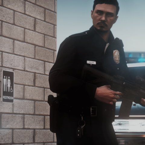 LEO's/Tactical Poses V1.0 – GTA 5 mod