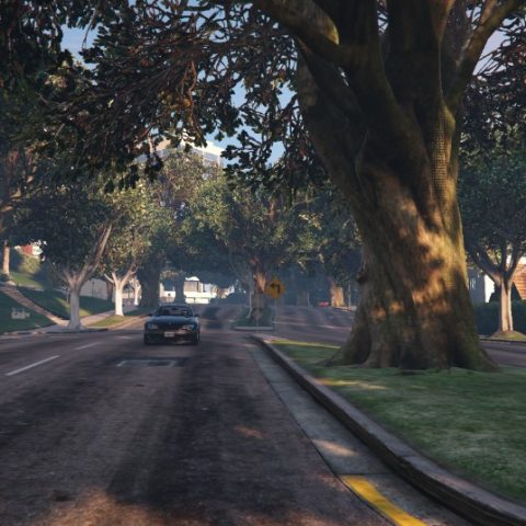 Rockford Hills Trees V1.1 – GTA 5 mod
