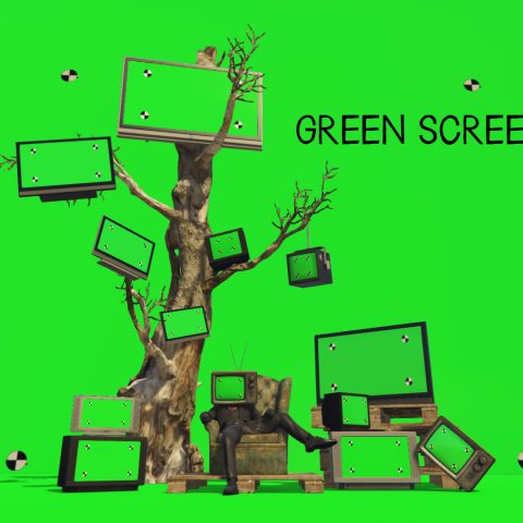 Green Screen Mod V2.0 – GTA 5 mod