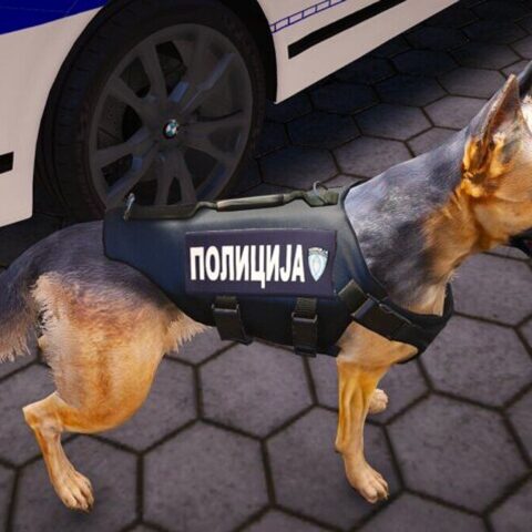 German Shepherd Police Skins V1.3 – GTA 5 mod