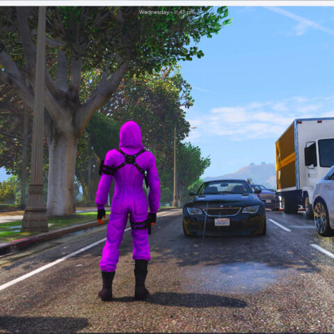 Purple criminal [Add-On Ped] V1.2 – GTA 5 mod