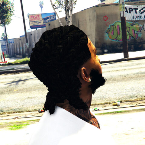 New Braids For Franklin V1.0 – GTA 5 mod