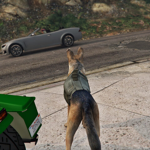 Germany Shepherd (k9) – GTA 5 mod