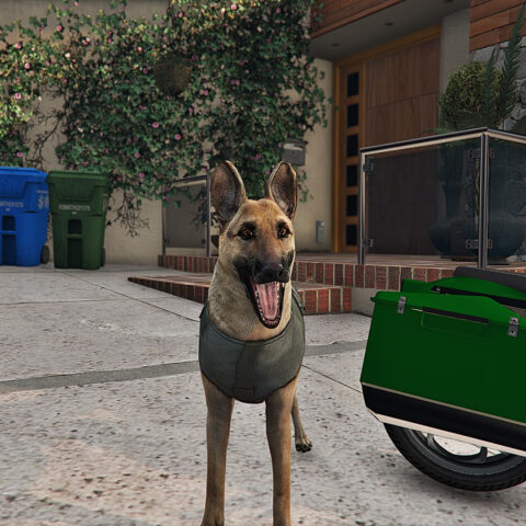 Germany Shepherd (k9) – GTA 5 mod