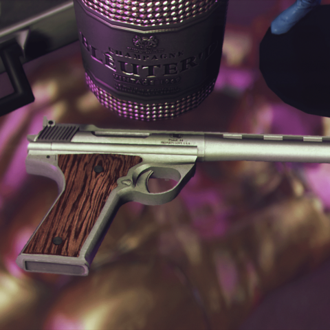 Hawk & Little Automatic Pistol [Add-On | Animated | Tints | Lore ...
