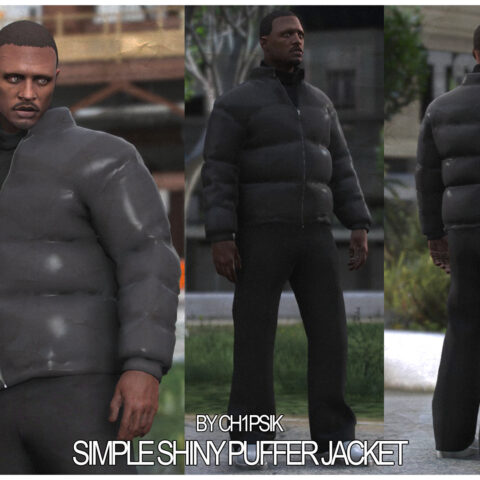 Download Simple Shiny PufferJacket [MP Male] - OpenIV