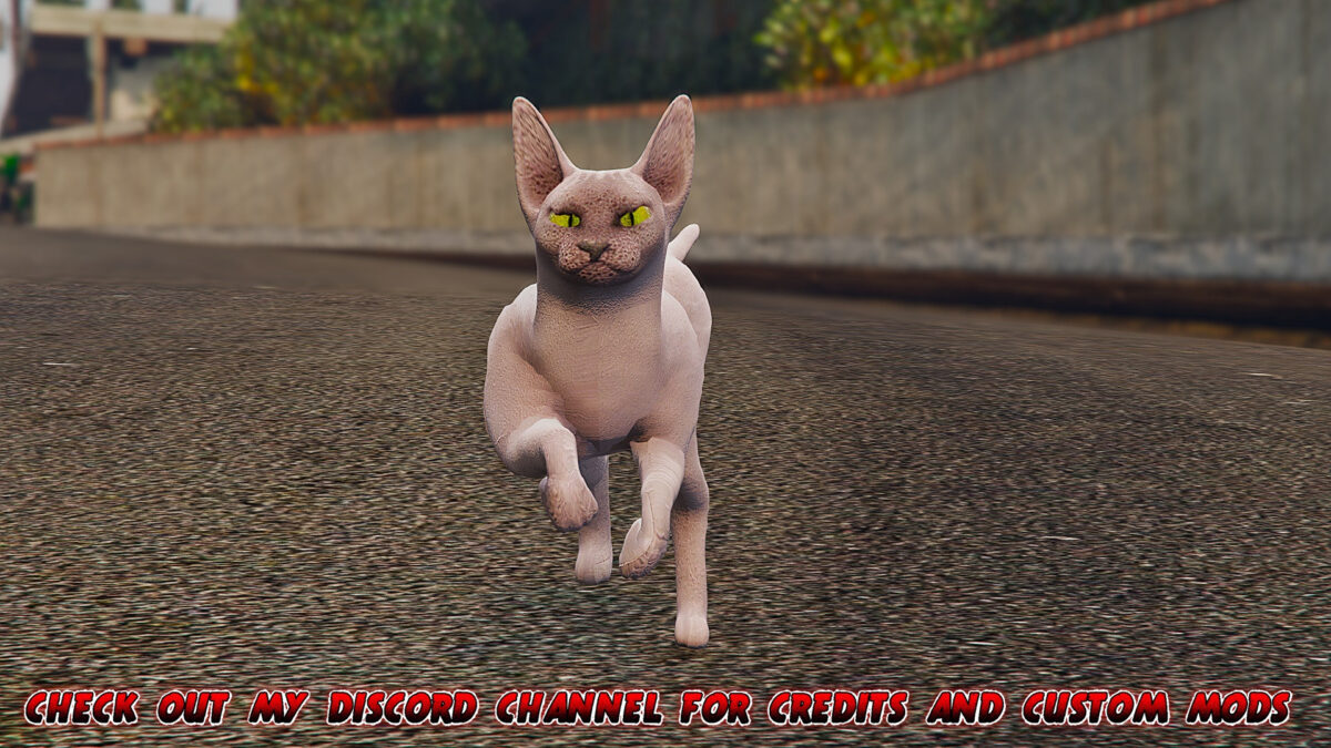 Download Sphynx Cat - OpenIV