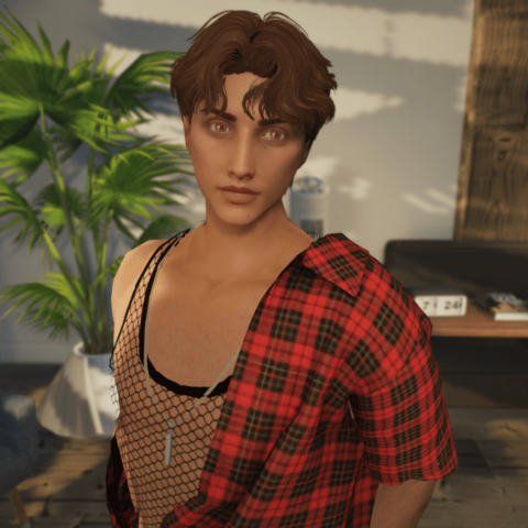 Fluffy Hair for MP Male V1.0 – GTA 5 mod