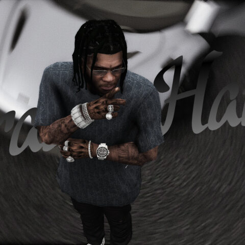 Braids Hair For Franklin V1.0 – GTA 5 mod