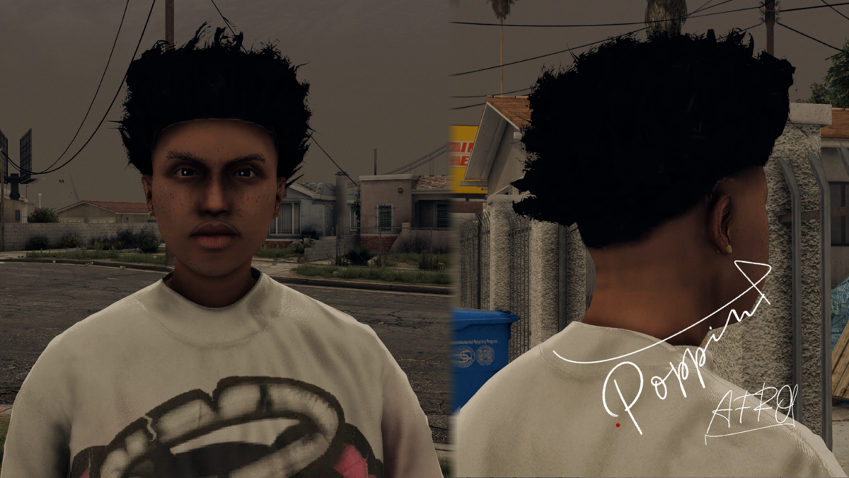 Messy Afro for MP Male – GTA 5 mod