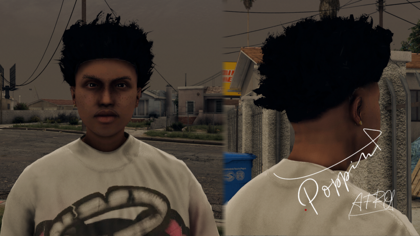 Messy Afro for MP Male – GTA 5 mod