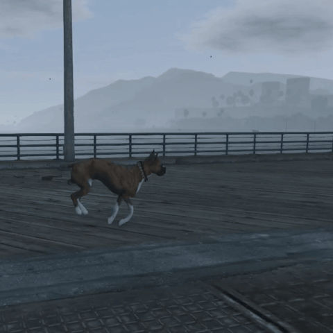 Boxer dog replace chop [Fivem ready] – GTA 5 mod