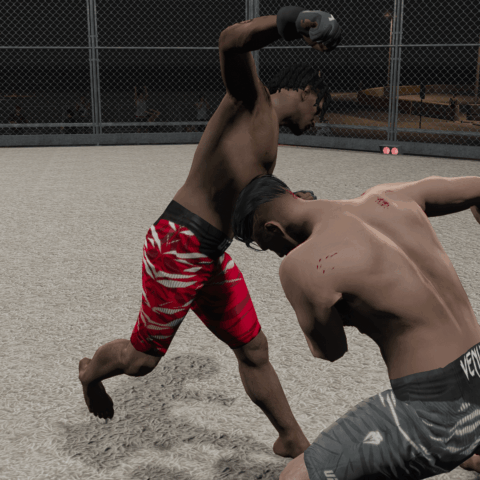 UFC Shorts and Gloves for MP Male V1.0 – GTA 5 mod